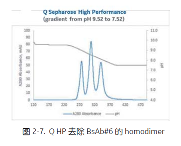 双抗的纯化策略