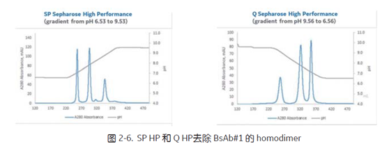 双抗的纯化策略