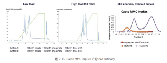 双抗的纯化策略