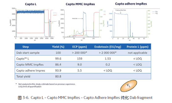 双抗的纯化策略
